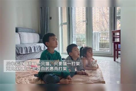 兄妹俩为各自喜欢的猫打架，谁也不服谁一旁妈妈心累：各护各的崽