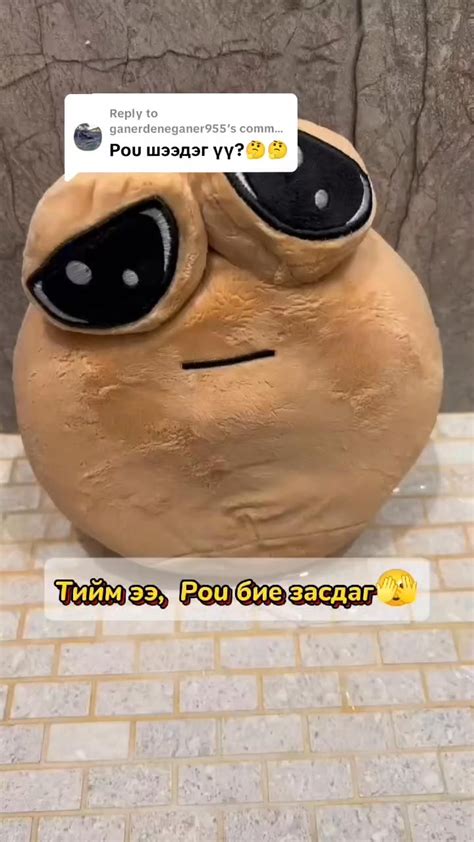 Бидний зүгээс 1 31 нийг дуустал үргэлжлэх Тусгай санал 2 ШАР Поу аваад хүссэн өнгөний Поуг