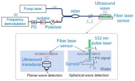 Experimental Setup For Ultrasound Detection With A Fiber Laser Sensor Download Scientific