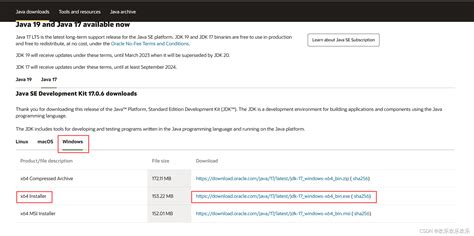 Java17安装及环境配置搭配ideajava17环境配置 Csdn博客