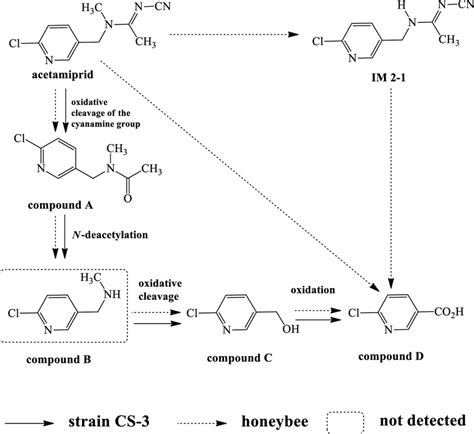 The Proposed Metabolic Pathway Of Acetamiprid Degradation By Fusarium