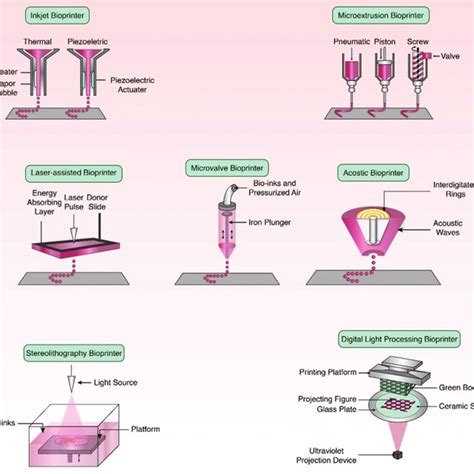 Different Techniques Of 3d Bioprinting Download Scientific Diagram