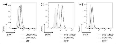 Grp Induces Aktmapks Phosphorylation A549 Cells Were Stimulated With