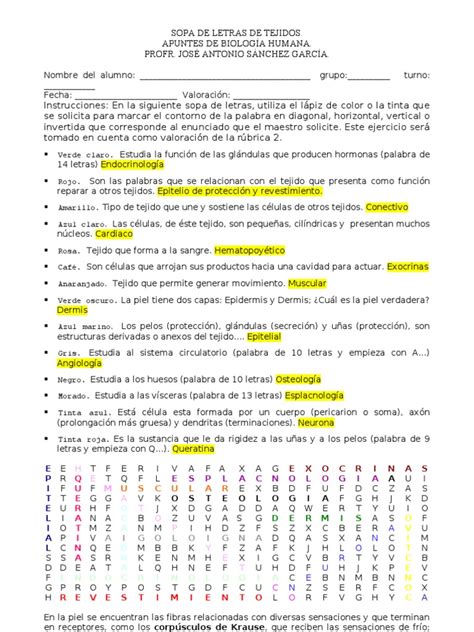 Sopa De Letras De Tejidos