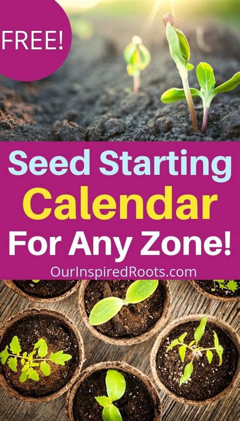 Seed Starting Planner Know Exactly When To Plant Planting Seeds