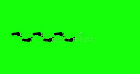 Feet Loader Loop Animation 4k Resolution Animation Human Foot Print