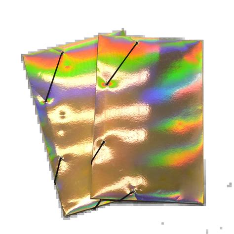 Clear Document Folder With Snap Button Plastic File Folder With Cd Sleeves Buy Clear Document