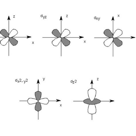 Schematic Representation Of The D Orbitals Download Scientific Diagram