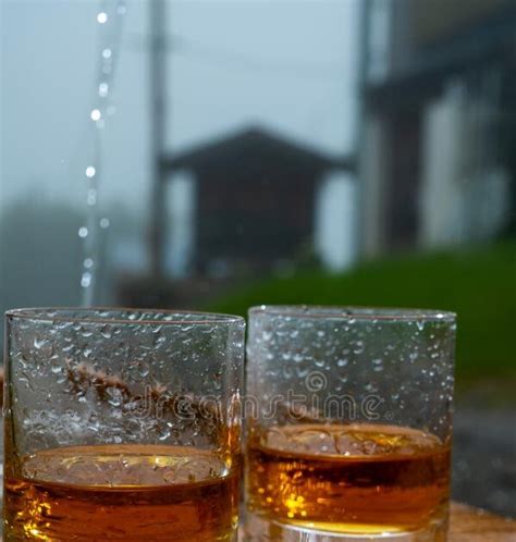 Ciclo Nuevo Llueve Whisky En La Ciudad