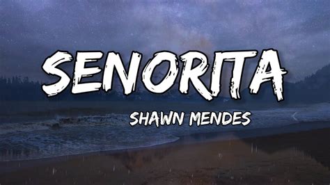 Shawn Mendes Camila Cabello Señorita Lyrical Video YouTube
