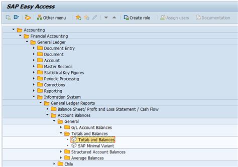 SAP FI GL Reporting