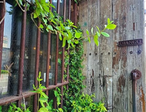 【大阪市天王寺区・阿倍野区】大人の隠れ家。松虫の「django」はオーナー自ら畑を耕す、野菜が旨いレストラン＆バーです♪ 号外net 天王寺・阿倍野