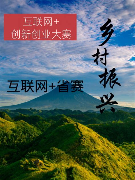 互联网创新创业大赛 乡村振兴省赛金奖 哔哩哔哩