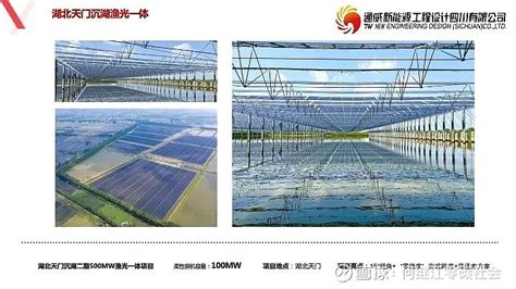通威柔性支架：光伏治沙、林光一体、草光一体新途径 历时90天，行程约2万公里的荒漠区风光电建设生态保护与修复技术科学考察活动总结会于2022年