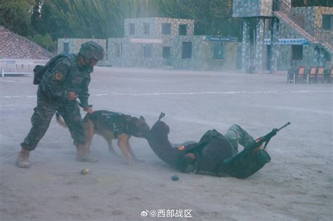 沙场亮剑！狭路相逢勇者胜