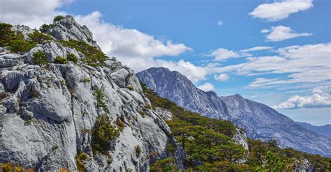 有关多雲的天空 天性 景觀 樹木 洛磯山脈 美景 自然攝影的免费素材图片