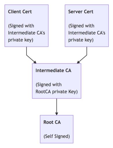step by step creating your own self signed certificate authority in node js by anson tsao
