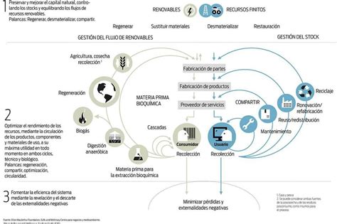 Por Qué La Economía Circular Es Clave Para Combatir El Cambio Climático