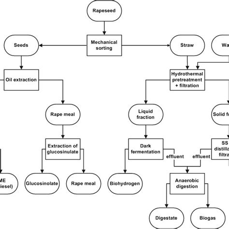 Biorefinery System Outline Scenario 4 Download Scientific Diagram