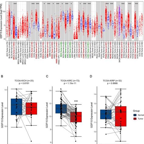 Investigation Of Differential GDF15 Expression Across Different Tumors