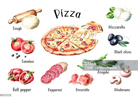 이탈리아 피자입니다 재료 수채화 손으로 그린 그림 흰색 배경에 고립 피자에 대한 스톡 벡터 아트 및 기타 이미지 피자 수채화 음식 재료 Istock