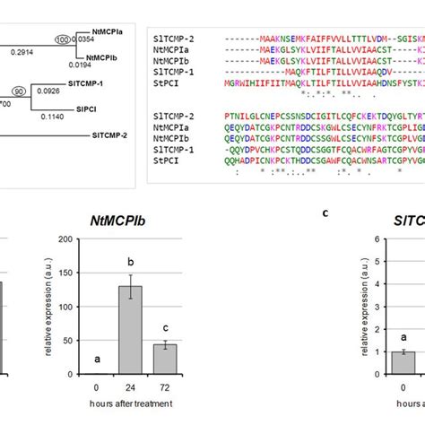 A Left Evolutionary Relationships And Protein Sequence Alignment Of