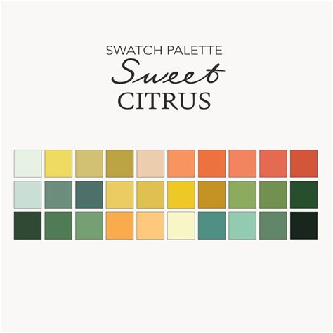 Procreate Color Palette Color Swatches Procreate Tools Ipad Tools Photoshop Swatches Set Of 30