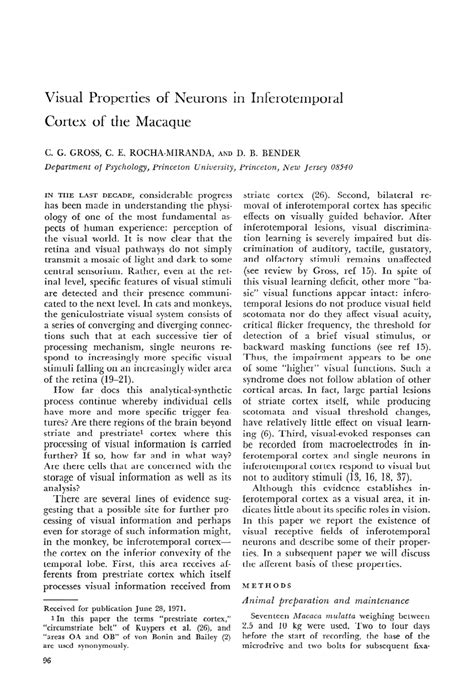 Pdf Visual Properties Of Neurons In Inferotemporal Cortex Of The Macaque