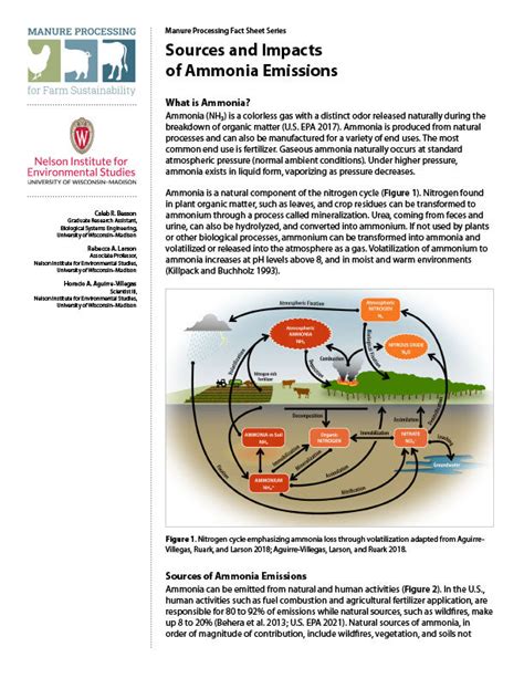 Sources And Impacts Of Ammonia Emissions — The Learning Store