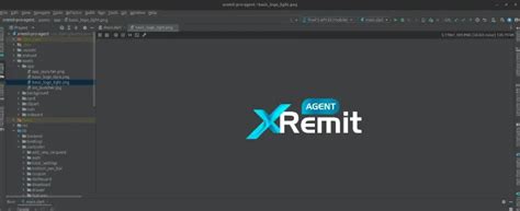 Agent App Xremit Documentation