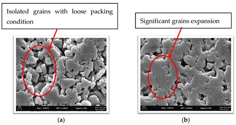 Lubricants Free Full Text Effect Of Sintering Parameters On The