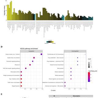 Differentially Expressed Genes DEGs Analysis And Gene Functional