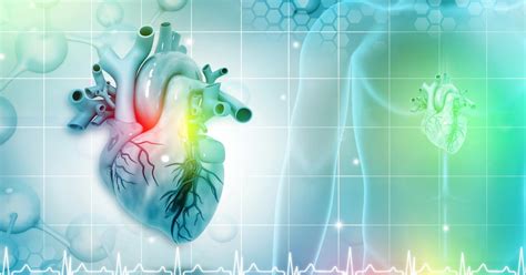 Management Of Hfref Will Novel Therapies Fit Into Existing Treatment