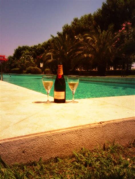 Danilo Pejovic Danilo Pejovic Twitter