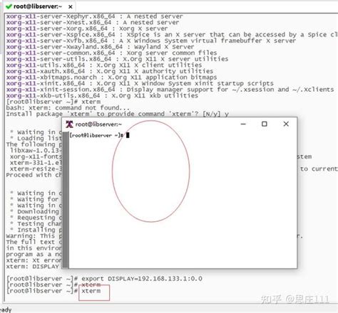在rhel8中不存在xclock请使用xterm代替xclock 知乎