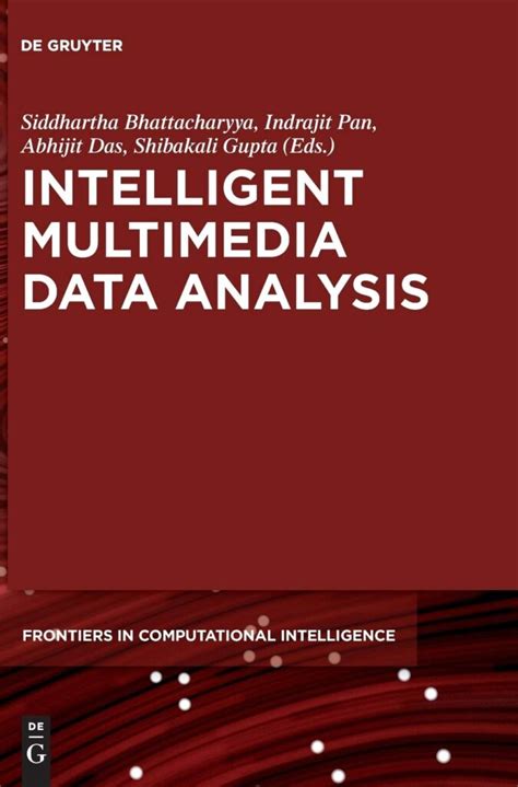 Blind Equalization In Neural Networks Theory Algorithms And Applications