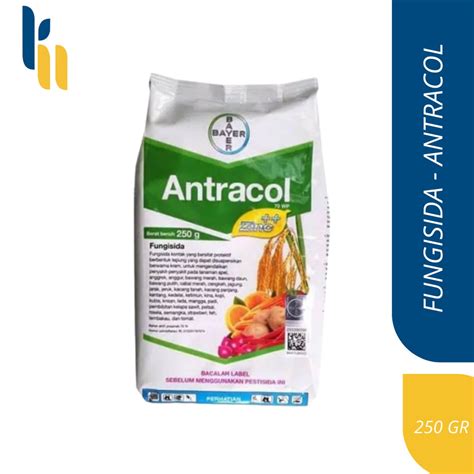 Jual Fungisida Antracol 70 Wp Zinc Kemasan Pabrik 250 Gram Shopee