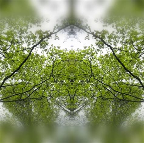 Man Hing Lee On Linkedin The Lovely Summer Arrived So It Was Fabulous