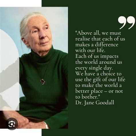 Jane Goodall Was And Remains A Legend And Inspiration Few People