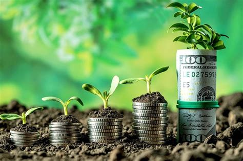 Від початку року банки видали аграріям 36 млрд грн кредитів газета Сільський Господар