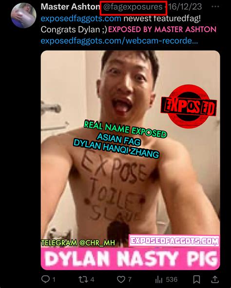 Picunt Permanently Exposed Asian Fag Dylan Hanqi Zhang