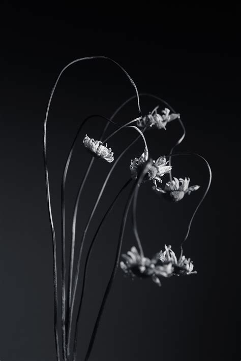 InSense on Behance