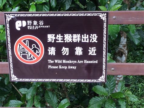 R Engrish On Pholder 1000 R Engrish Images That Made The World Talk