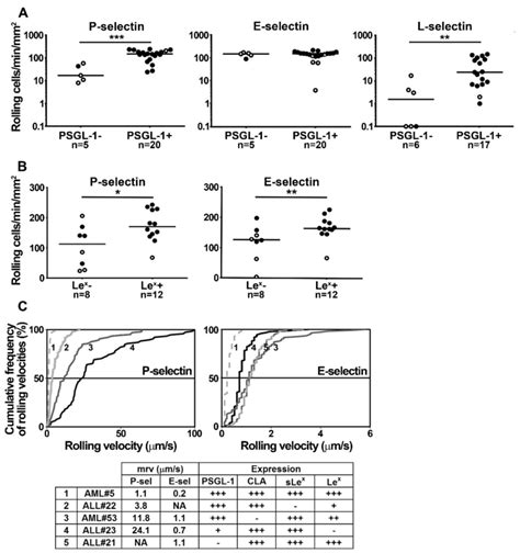 Impact Of P Selectin Glycoprotein Ligand 1 Psgl 1 And Lewisx