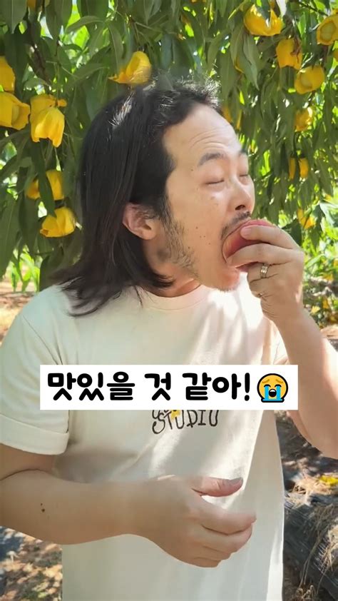 농사지음 7월 이제 본격적으로 🍑복숭아 철이 시작되었어요 딱복 물복 아삭 달콤 새콤 말랑 어느 한 단어로