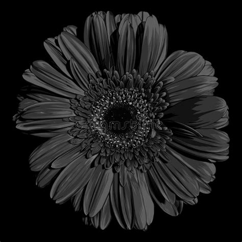 Gerber Stock Illustration Illustration Of Drawing Color 90040230