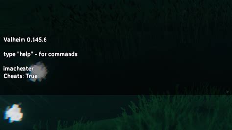 Valheim como usar códigos cheats e comandos de console