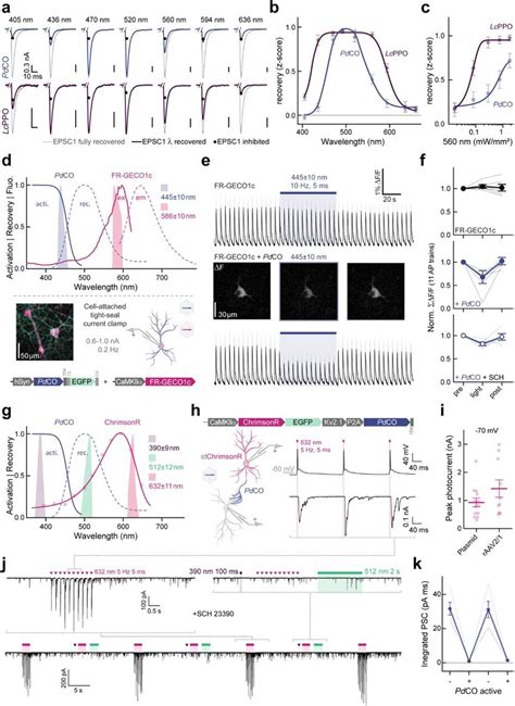 Single Photon Spectral Multiplexing Of PdCO A Example Traces Of