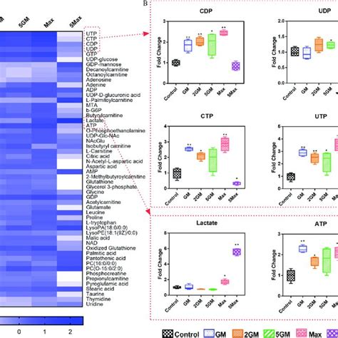 Joint Pathway Enrichment Analysis On Significantly Dysregulated