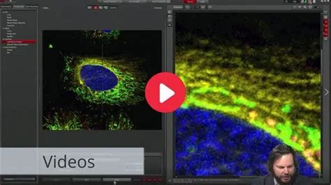 your guide to successful multiplex live cell imaging bitesize bio